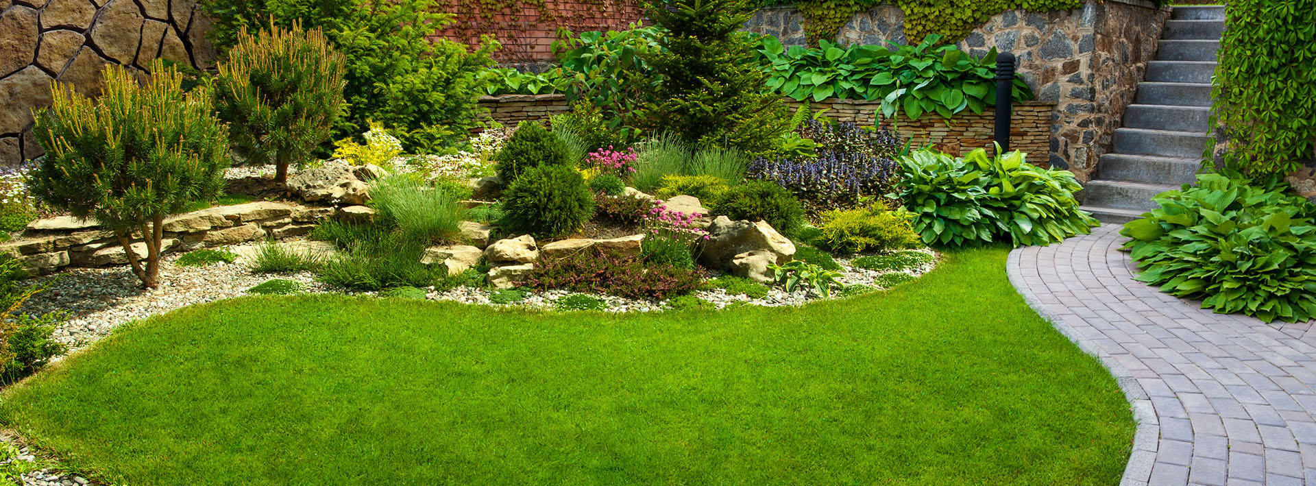 Plant & Tree Installation Adelaide | Nomadic Home Garden